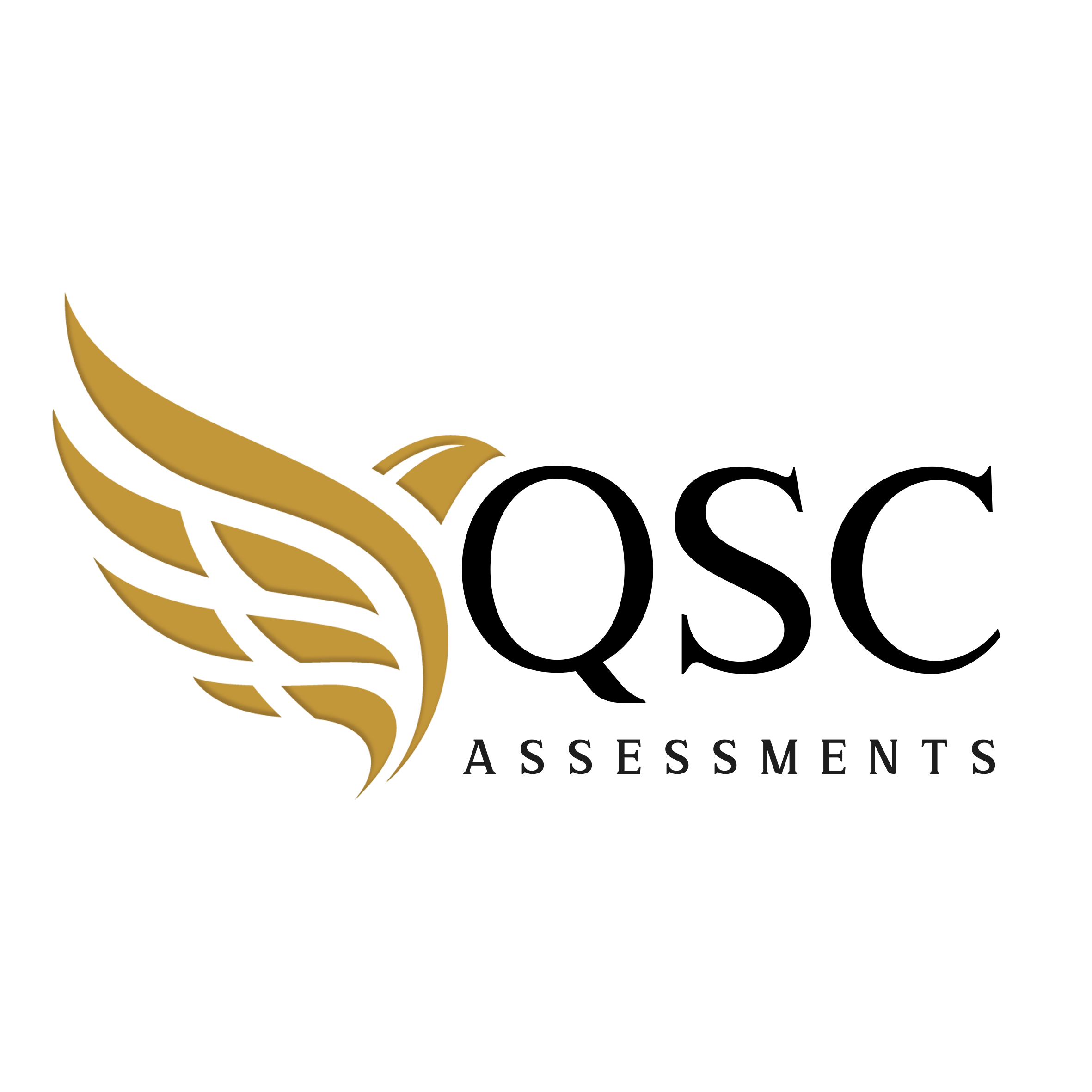 Qsc Logo Course: Q SYS Level 1 Hybrid